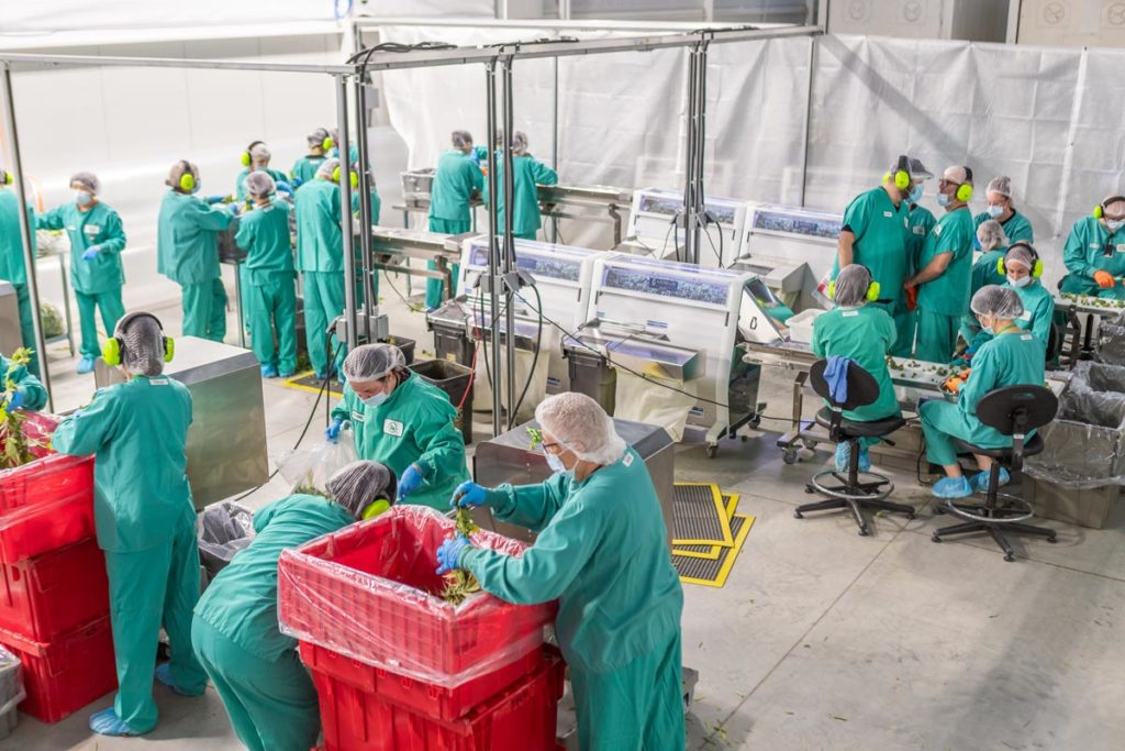 Material Flow Planning: A Guide for Processing Facilities - Mobius ...