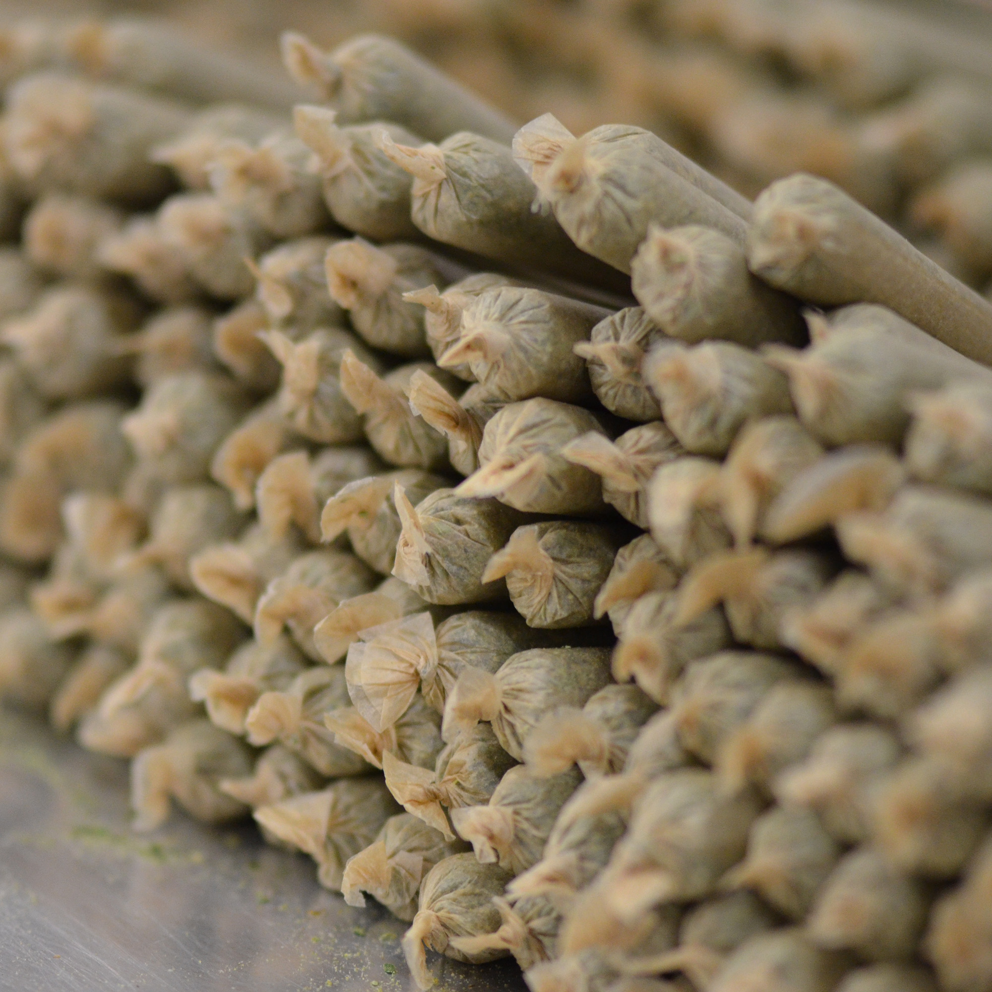 Cannabis Particle Size: Material Preparation Guide for Optimized Pre ...