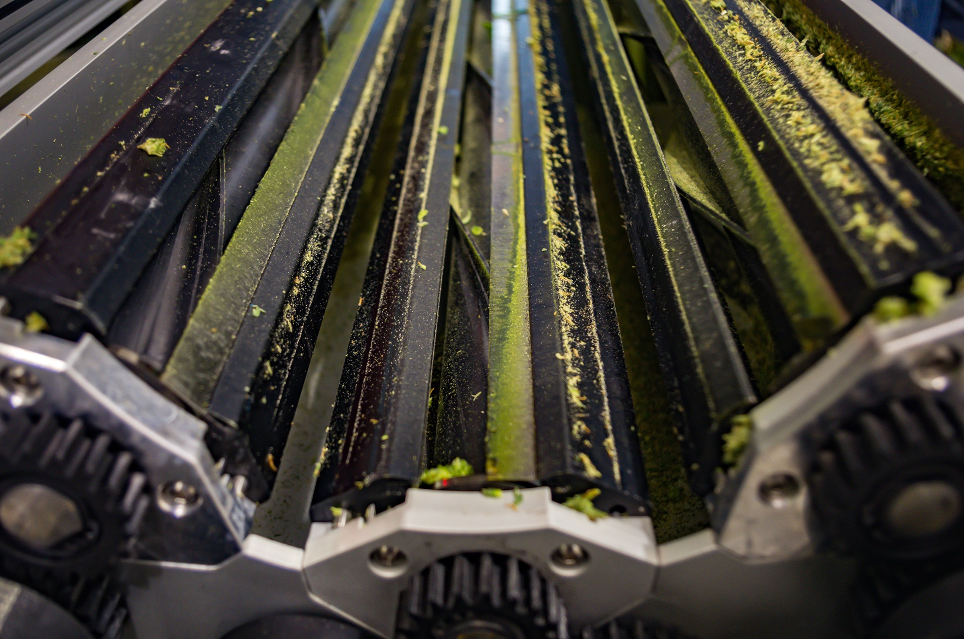 Why You SHOULD Use a Degreaser to Clean Your Cannabis Trimming ...