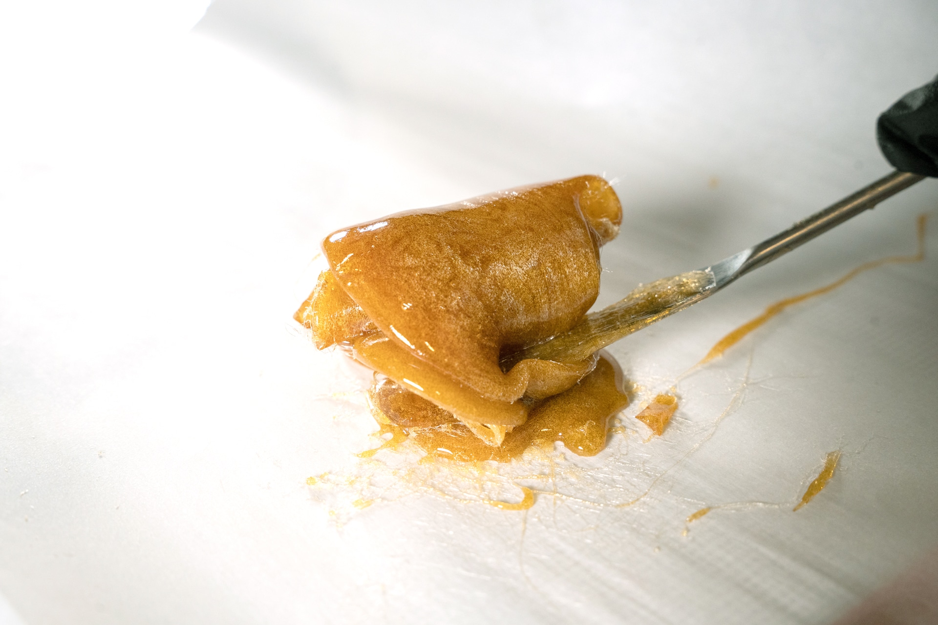 Cannabis Extraction Equipment - Expert Guide | Mobius