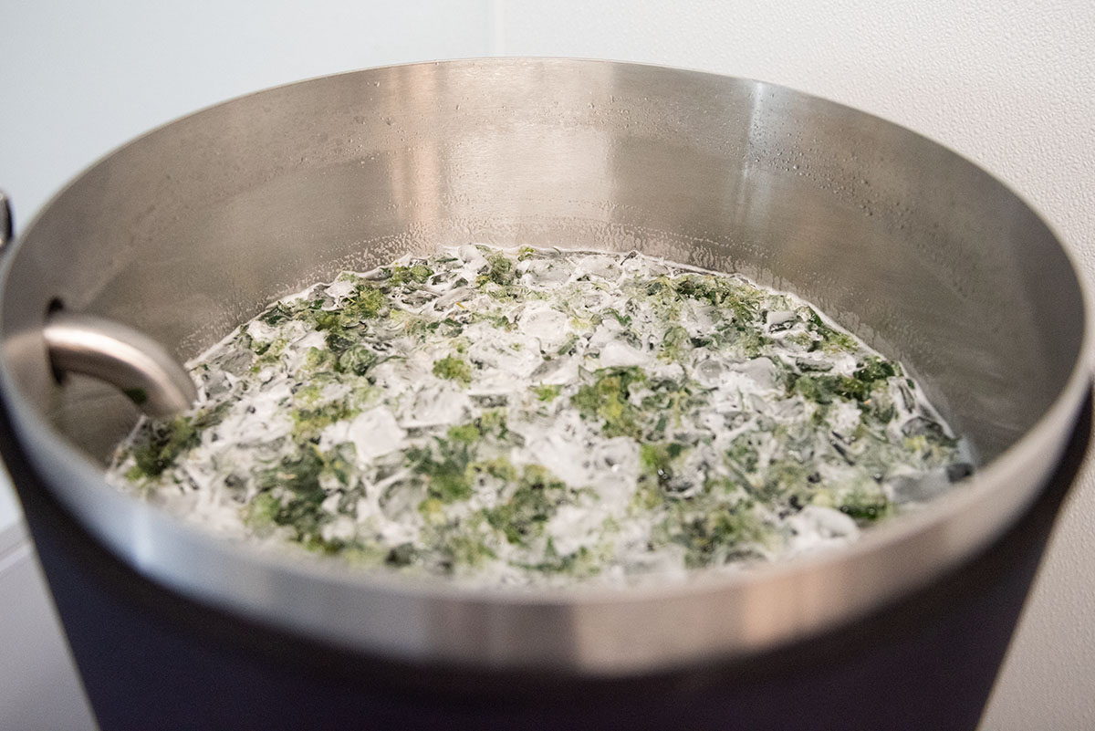 What is Bubble Hash? Everything You Need to Know | Mobius