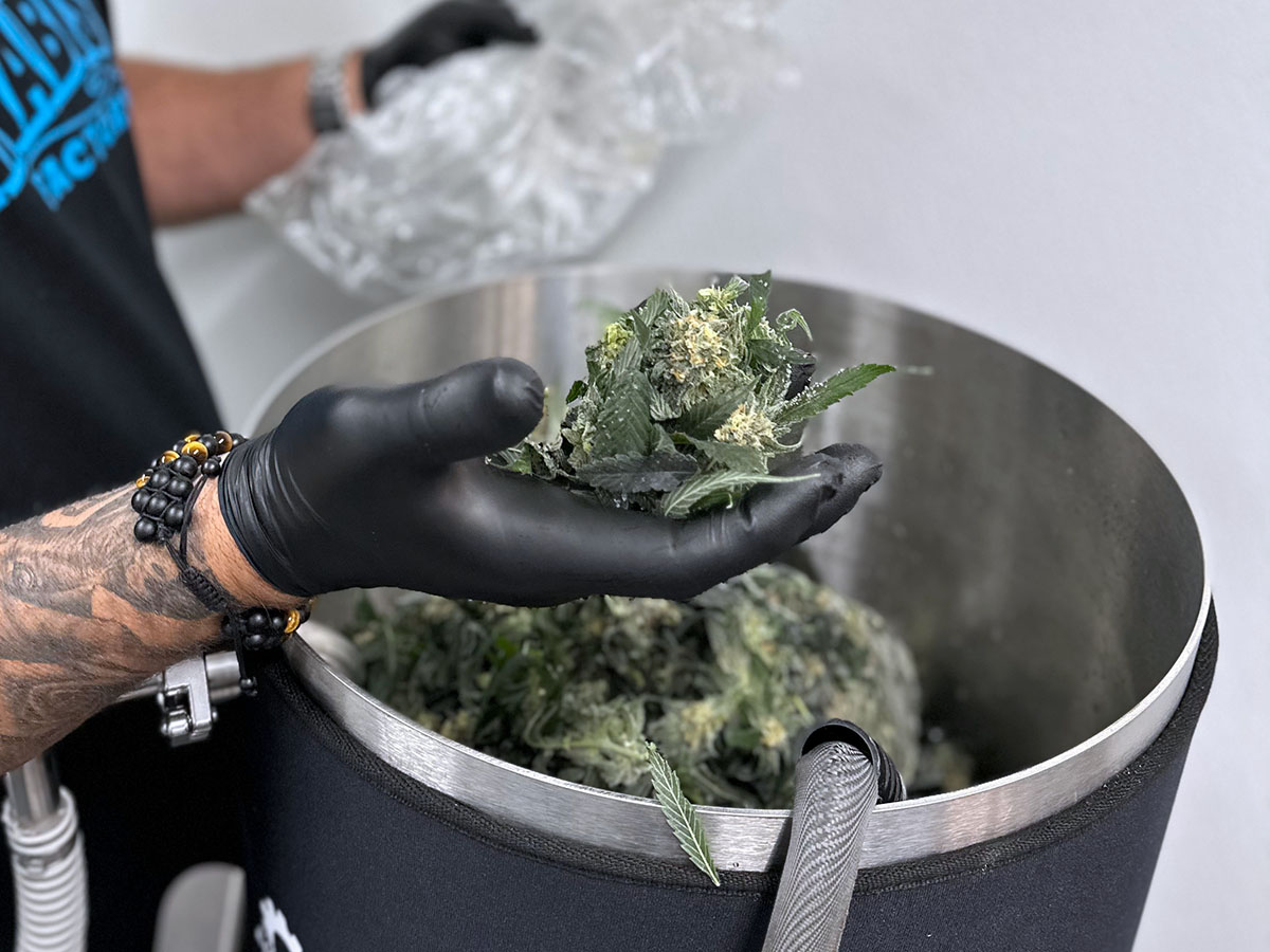 Exploring Full Melt Bubble Hash as a Premium Extraction Method - Mobius Trimmer