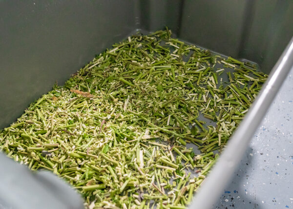 Commercial Cannabis Waste Disposal Guide| Mobius