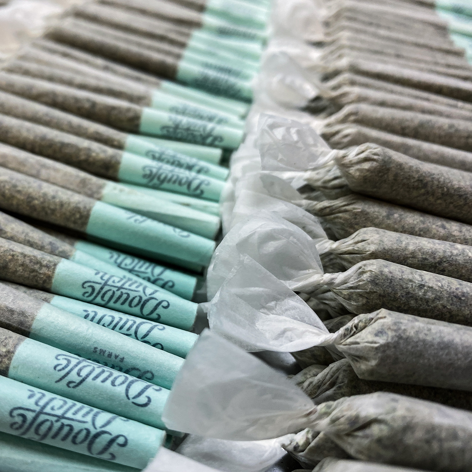 Cannabis Particle Size: Material Preparation Guide for Optimized Pre ...