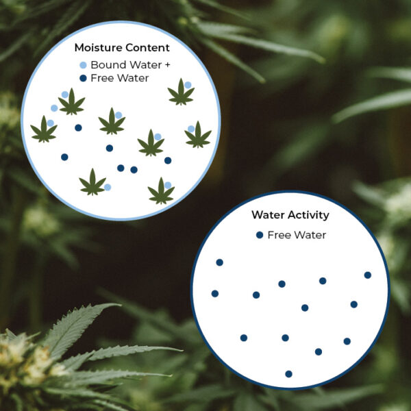 Water Activity vs. Moisture Content: Expert Insights