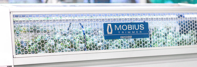 Water Activity vs. Moisture Content: Expert Insights